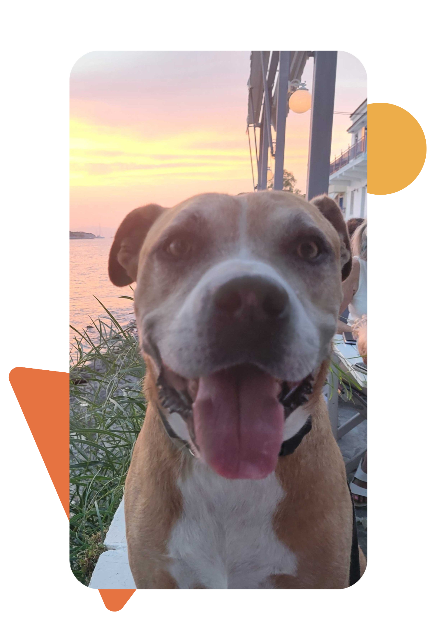 Careers with CLEAR Global