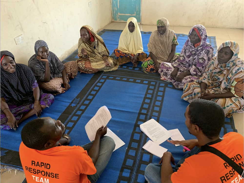 What you need to know about language inclusion